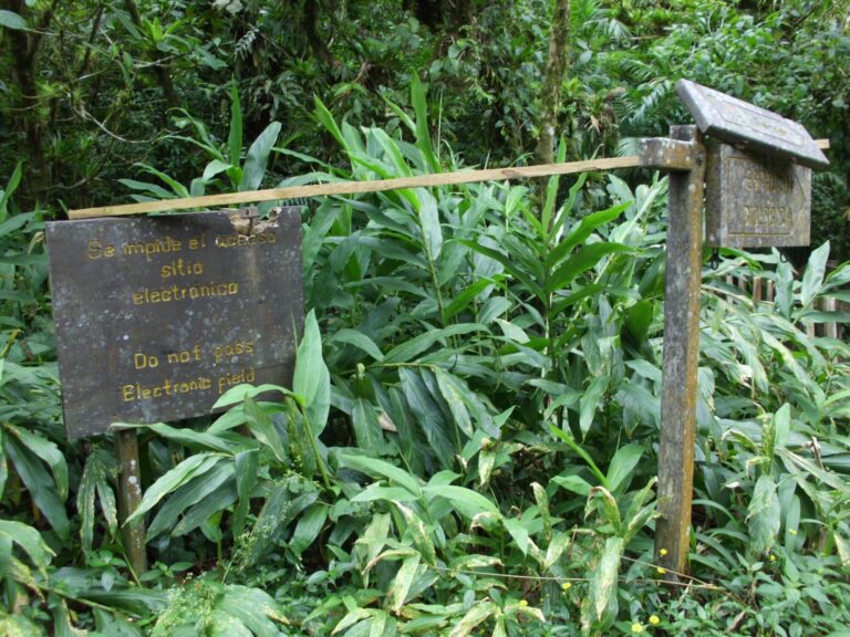 Volcán Mombacho: Una aventura entre las cumbres y la naturaleza - Vive ...