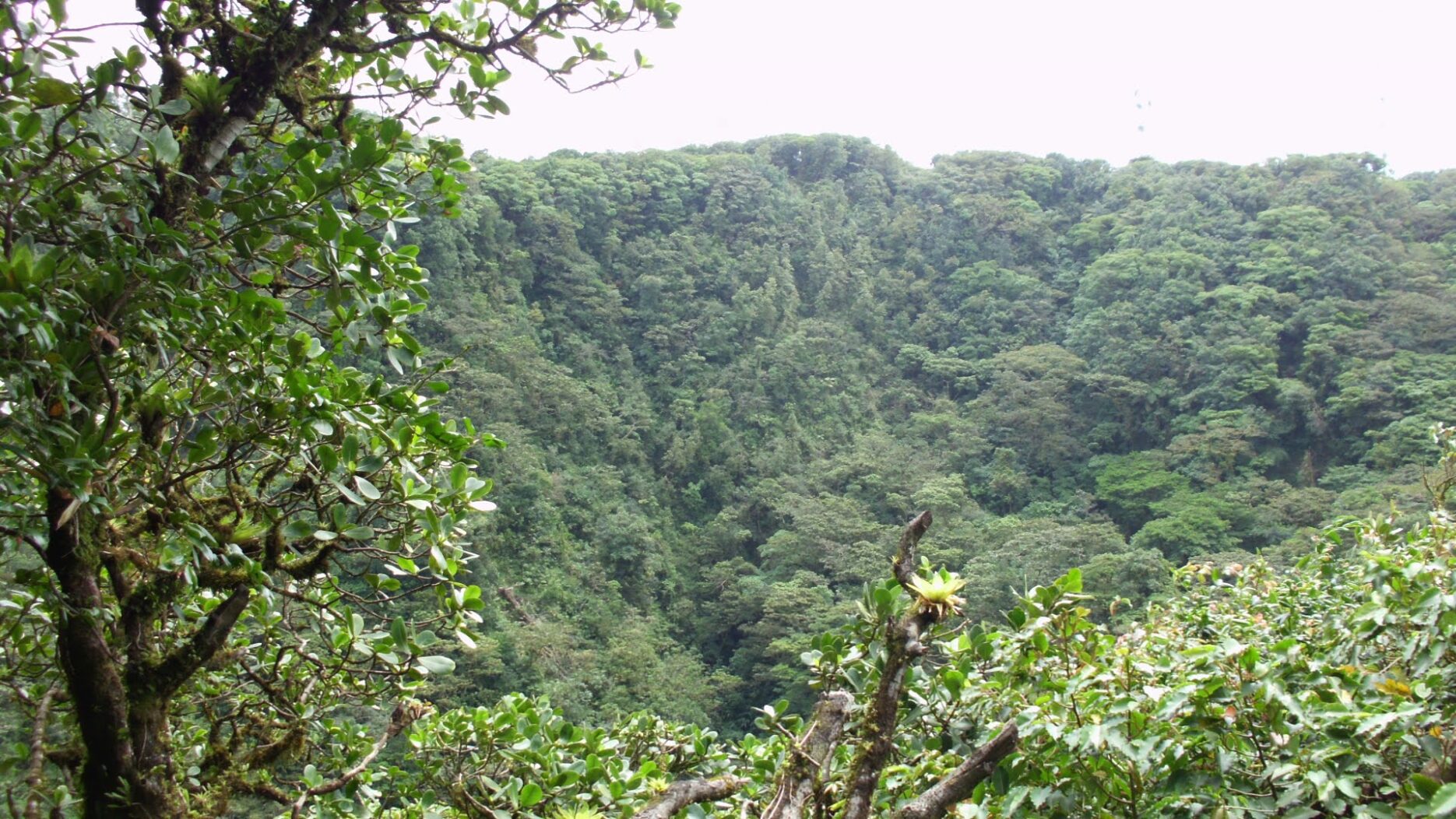 Volcán Mombacho: Una aventura entre las cumbres y la naturaleza - Vive ...