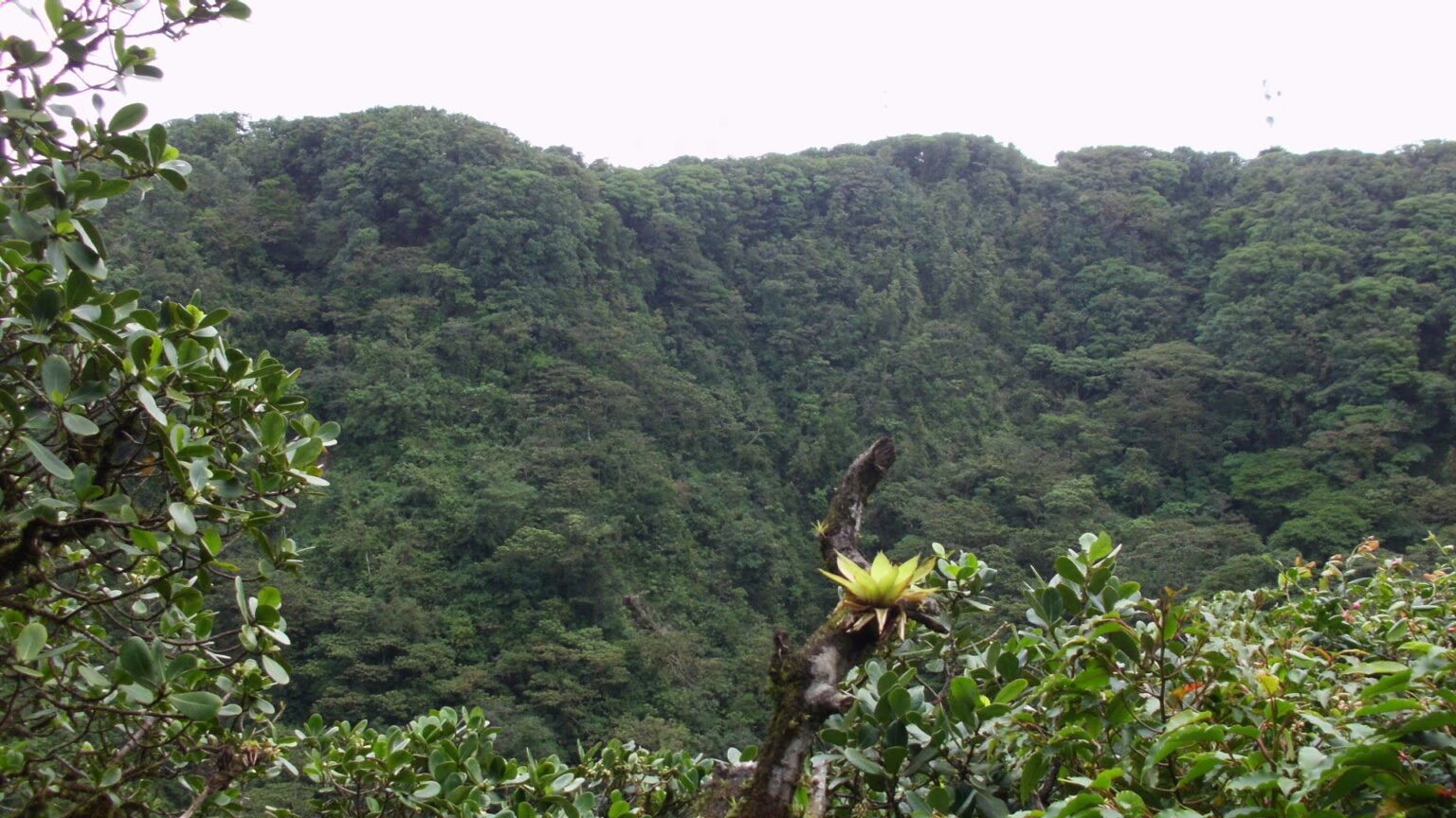 Volcán Mombacho: Una aventura entre las cumbres y la naturaleza - Vive ...