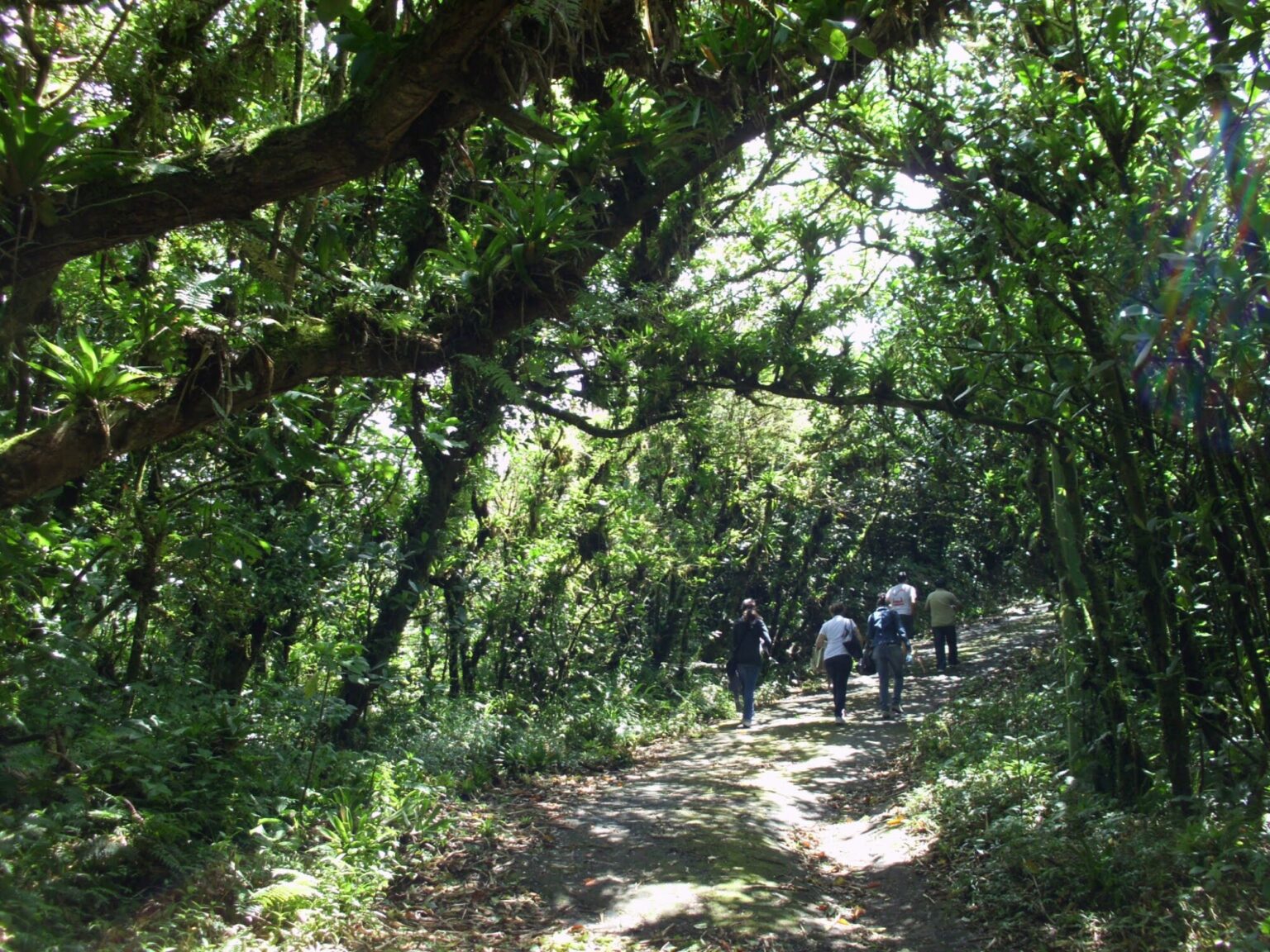 Volcán Mombacho: Una aventura entre las cumbres y la naturaleza - Vive ...