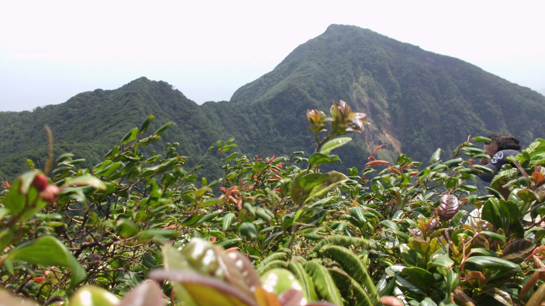 Volcán Mombacho: Una aventura entre las cumbres y la naturaleza - Vive ...