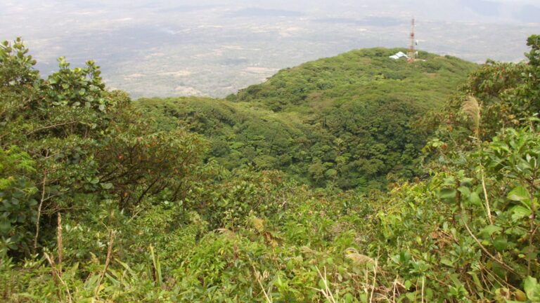 Volcán Mombacho: Una aventura entre las cumbres y la naturaleza - Vive ...