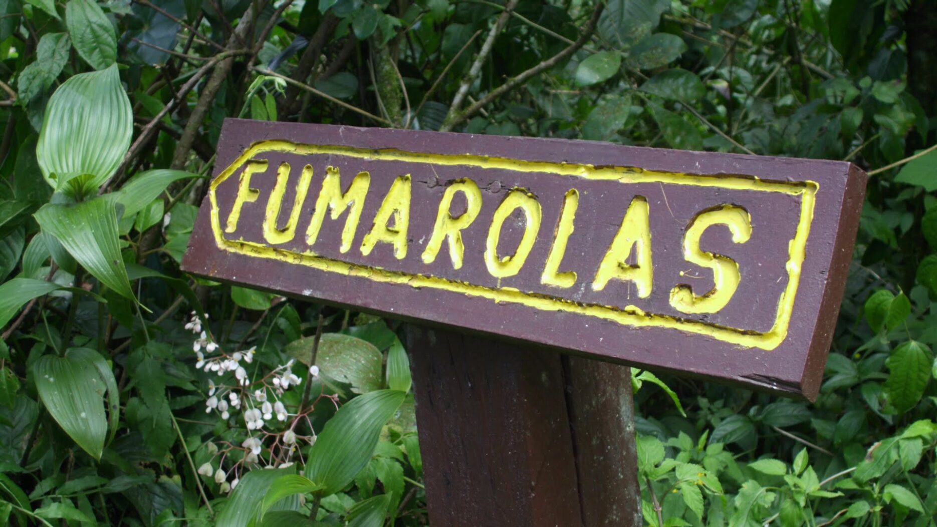 Volcán Mombacho: Una aventura entre las cumbres y la naturaleza - Vive ...