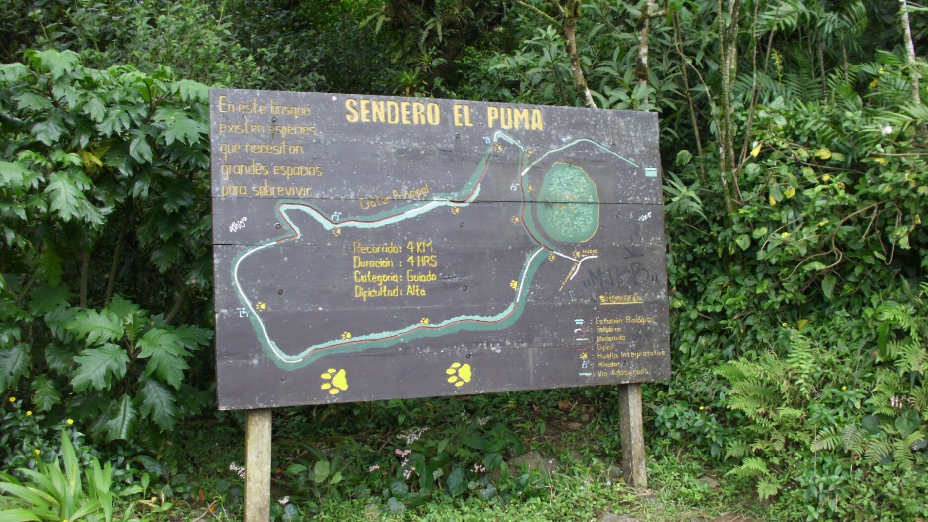 Volcán Mombacho: Una aventura entre las cumbres y la naturaleza - Vive ...
