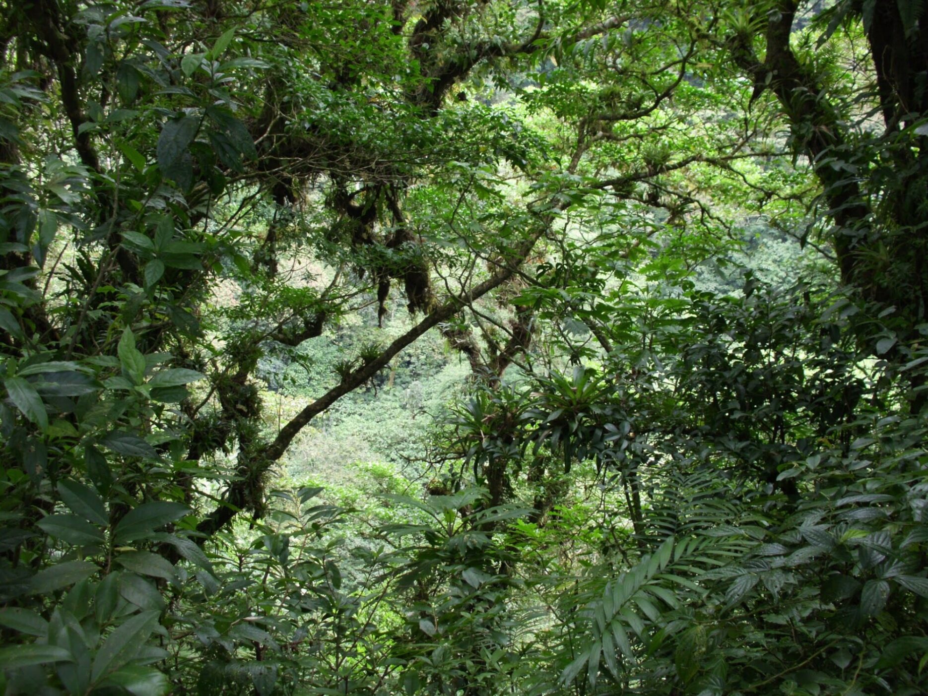 Volcán Mombacho: Una aventura entre las cumbres y la naturaleza - Vive ...