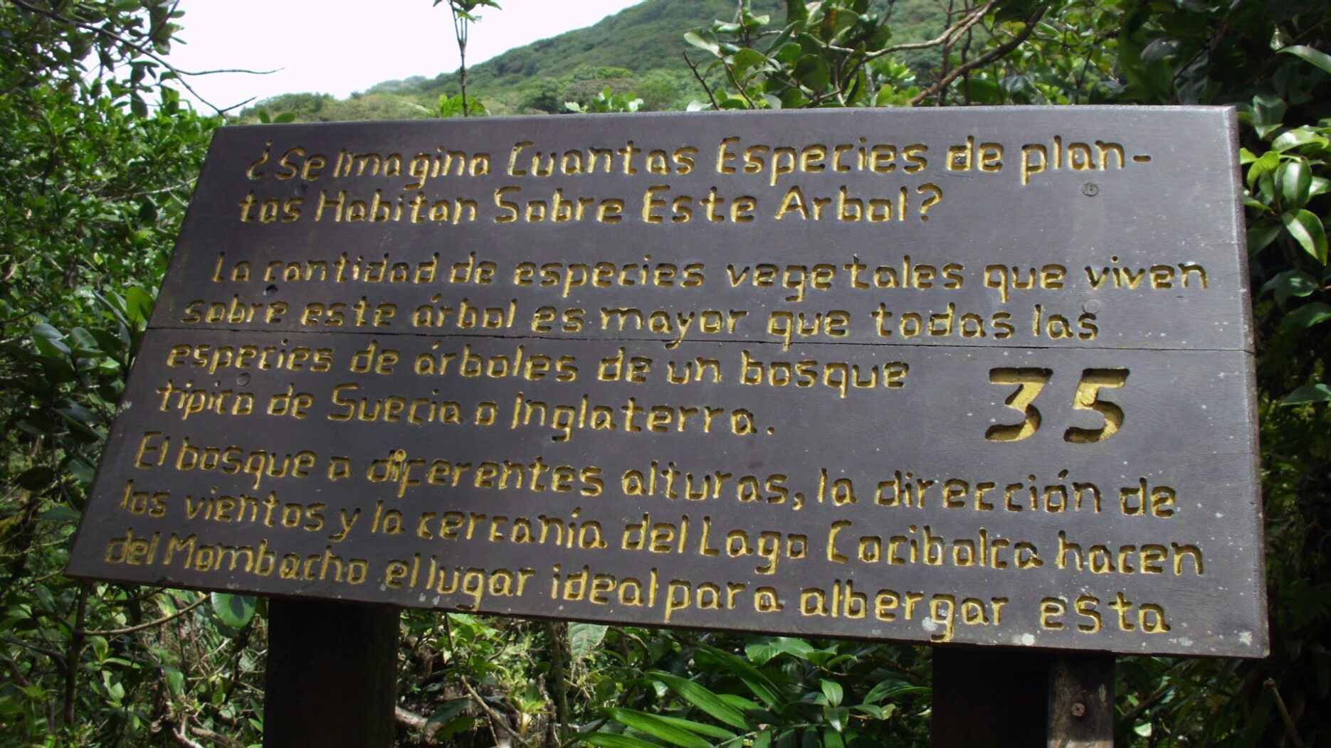Volcán Mombacho: Una aventura entre las cumbres y la naturaleza - Vive ...