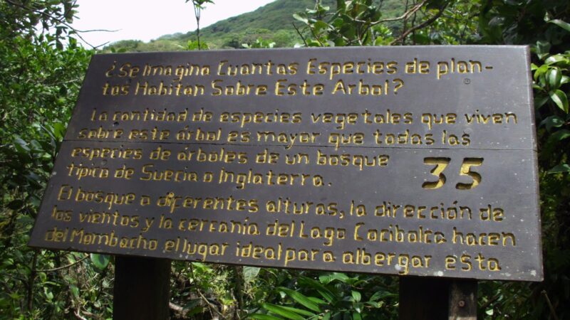 Volcán Mombacho: Una aventura entre las cumbres y la naturaleza - Vive ...