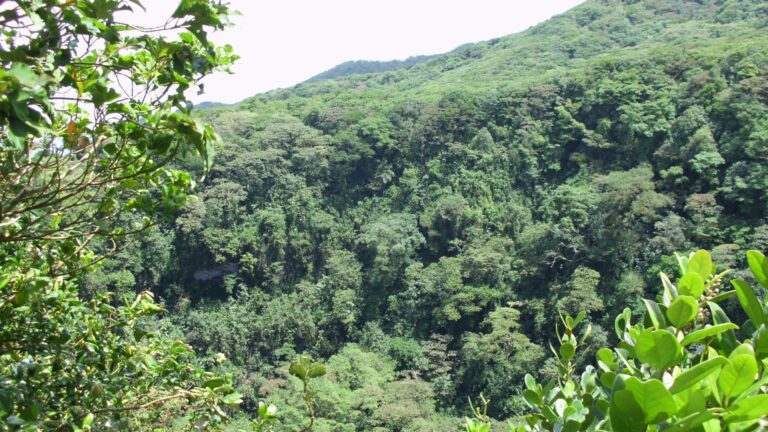 Volcán Mombacho: Una aventura entre las cumbres y la naturaleza - Vive ...