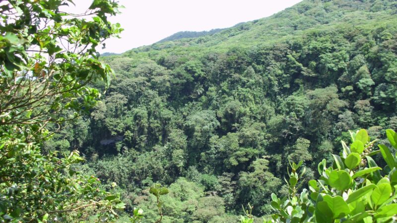 Volcán Mombacho: Una aventura entre las cumbres y la naturaleza - Vive ...