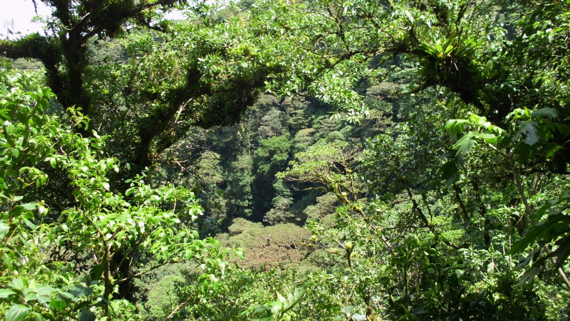 Volcán Mombacho: Una aventura entre las cumbres y la naturaleza - Vive ...