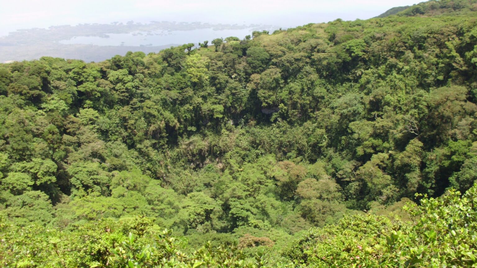 Volcán Mombacho: Una aventura entre las cumbres y la naturaleza - Vive ...
