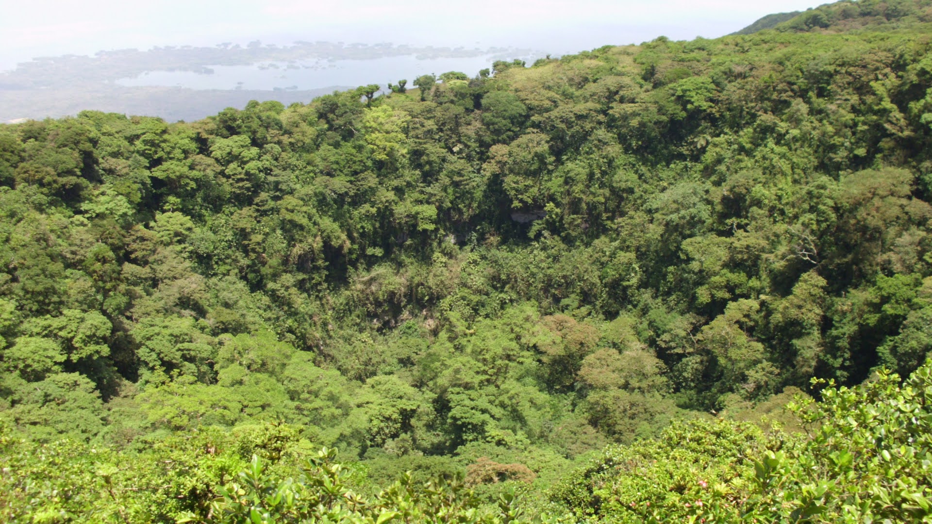 Volcán Mombacho: Una aventura entre las cumbres y la naturaleza - Vive ...