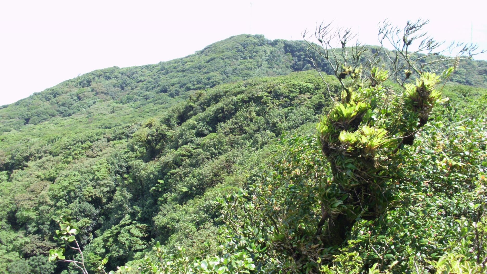 Volcán Mombacho: Una aventura entre las cumbres y la naturaleza - Vive ...